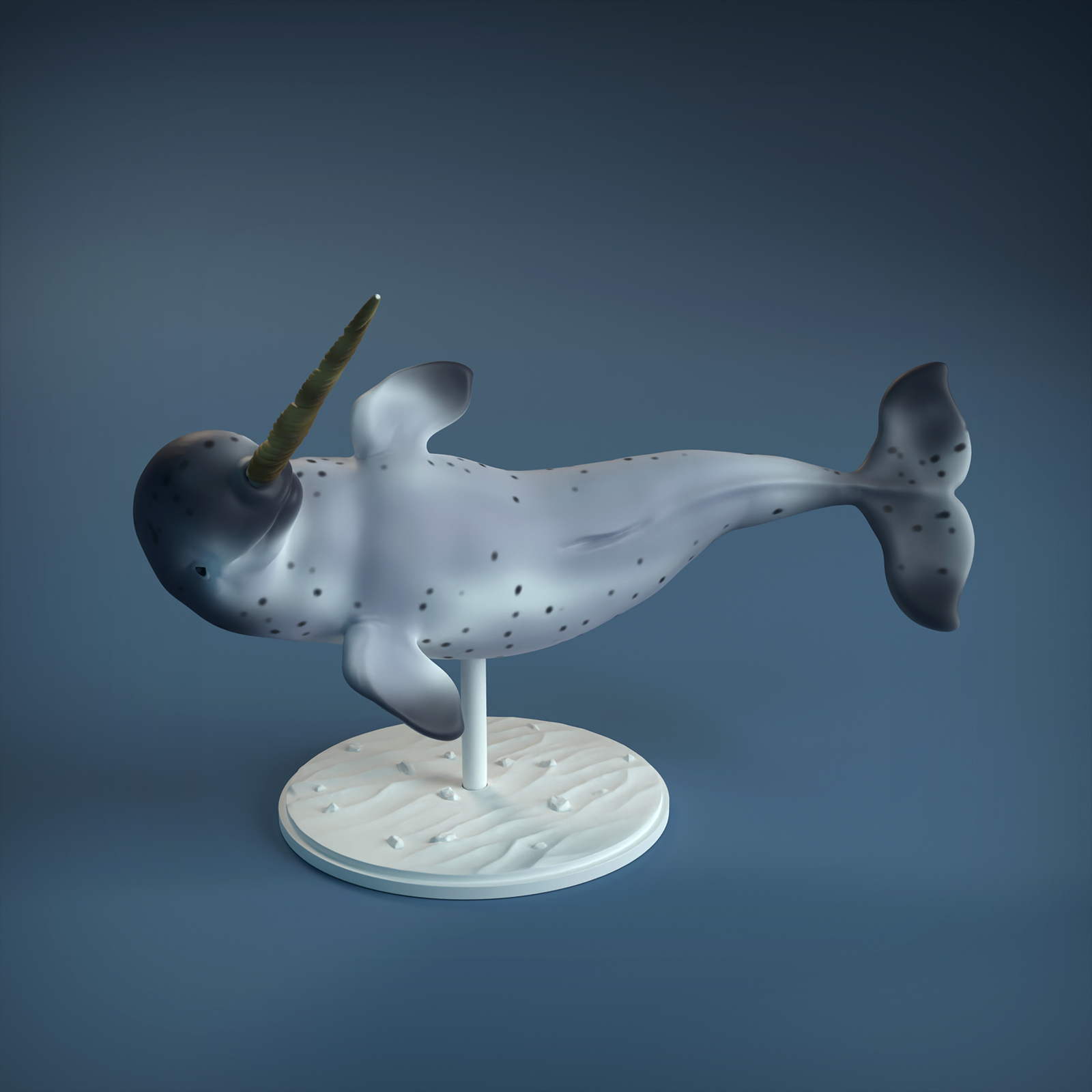 🐳 Narwal・ 3D File for ・Cults