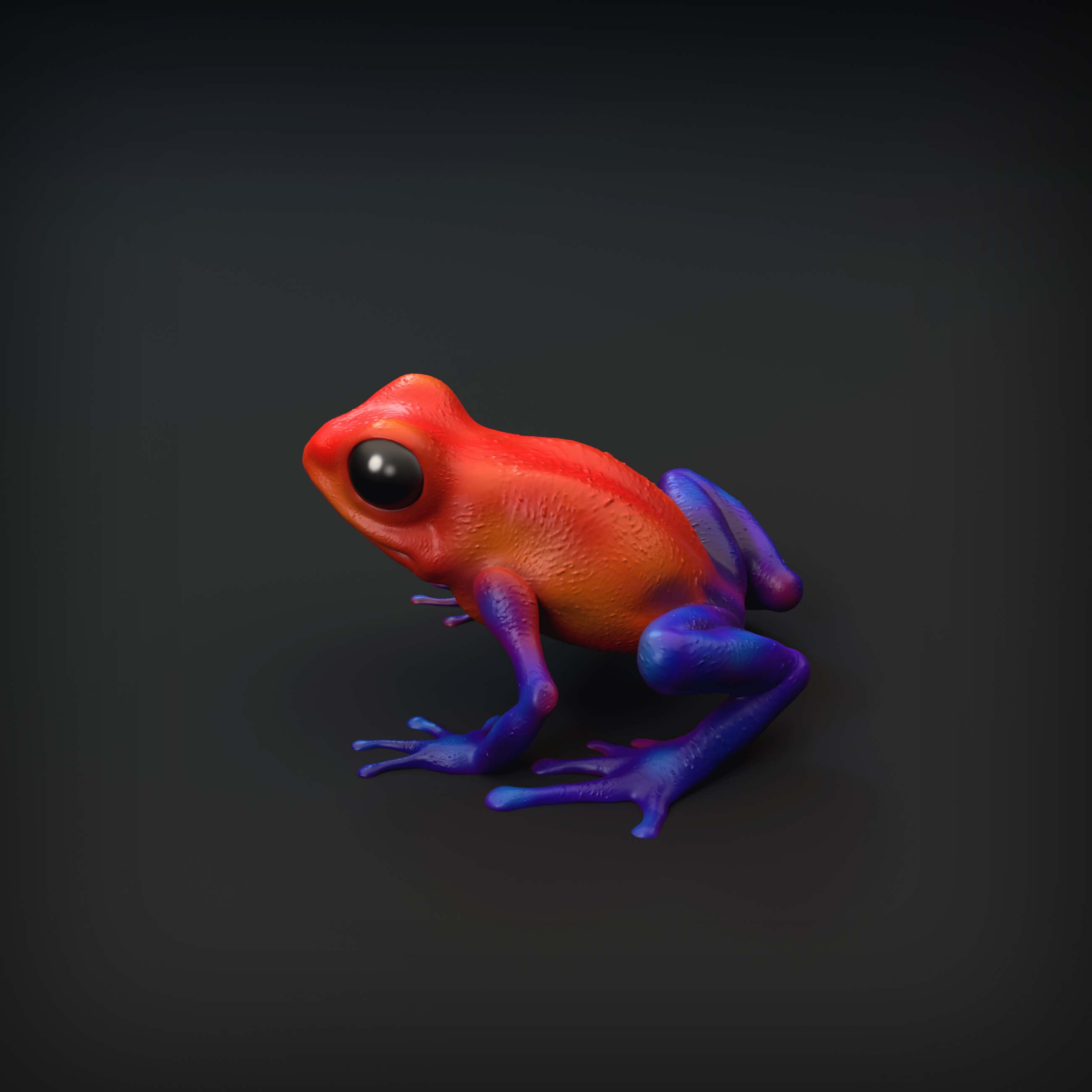 3D file Dart Frog 🎯 ・3D printable model to download・Cults