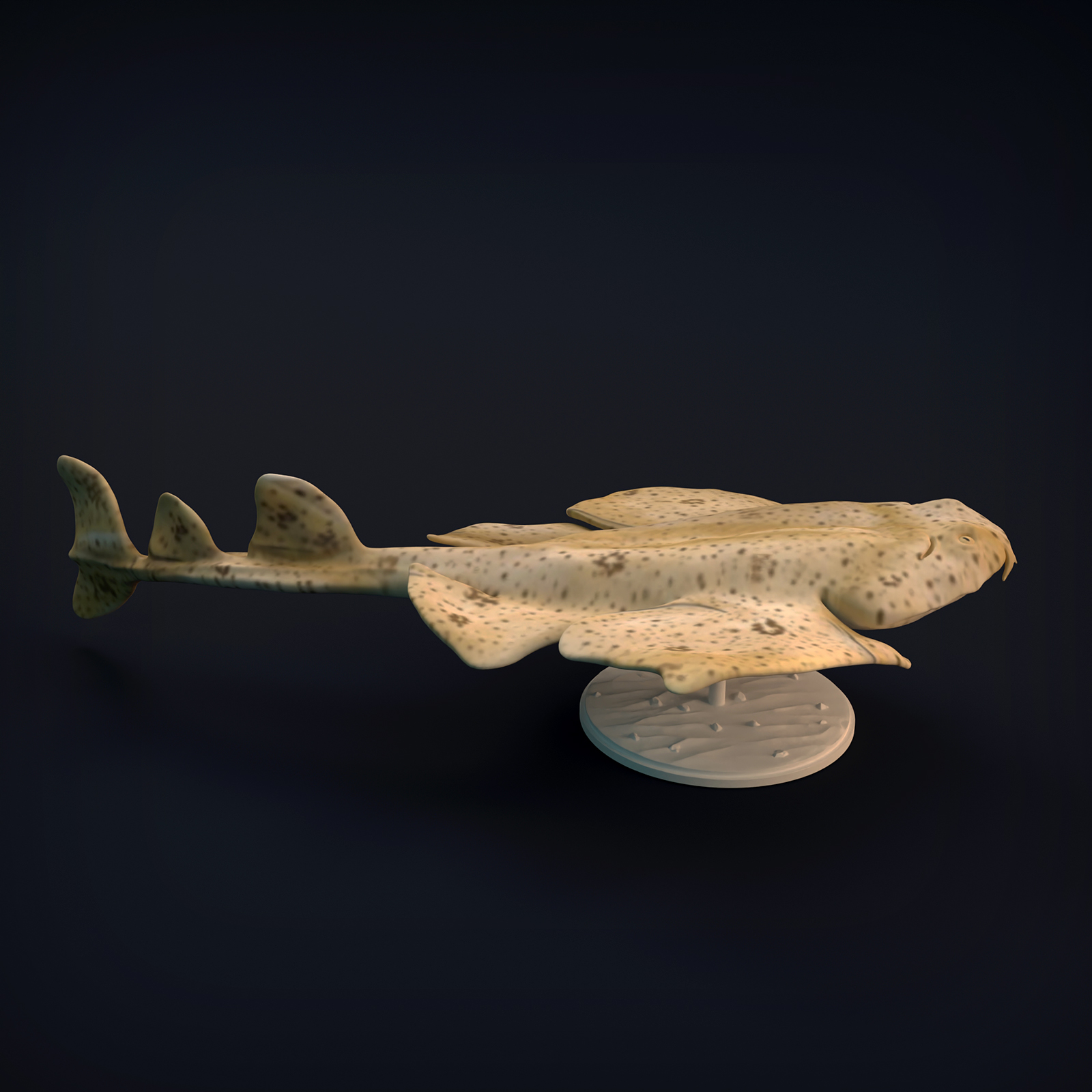 3D file Angel Shark 👼 ・3D printing template to download・Cults