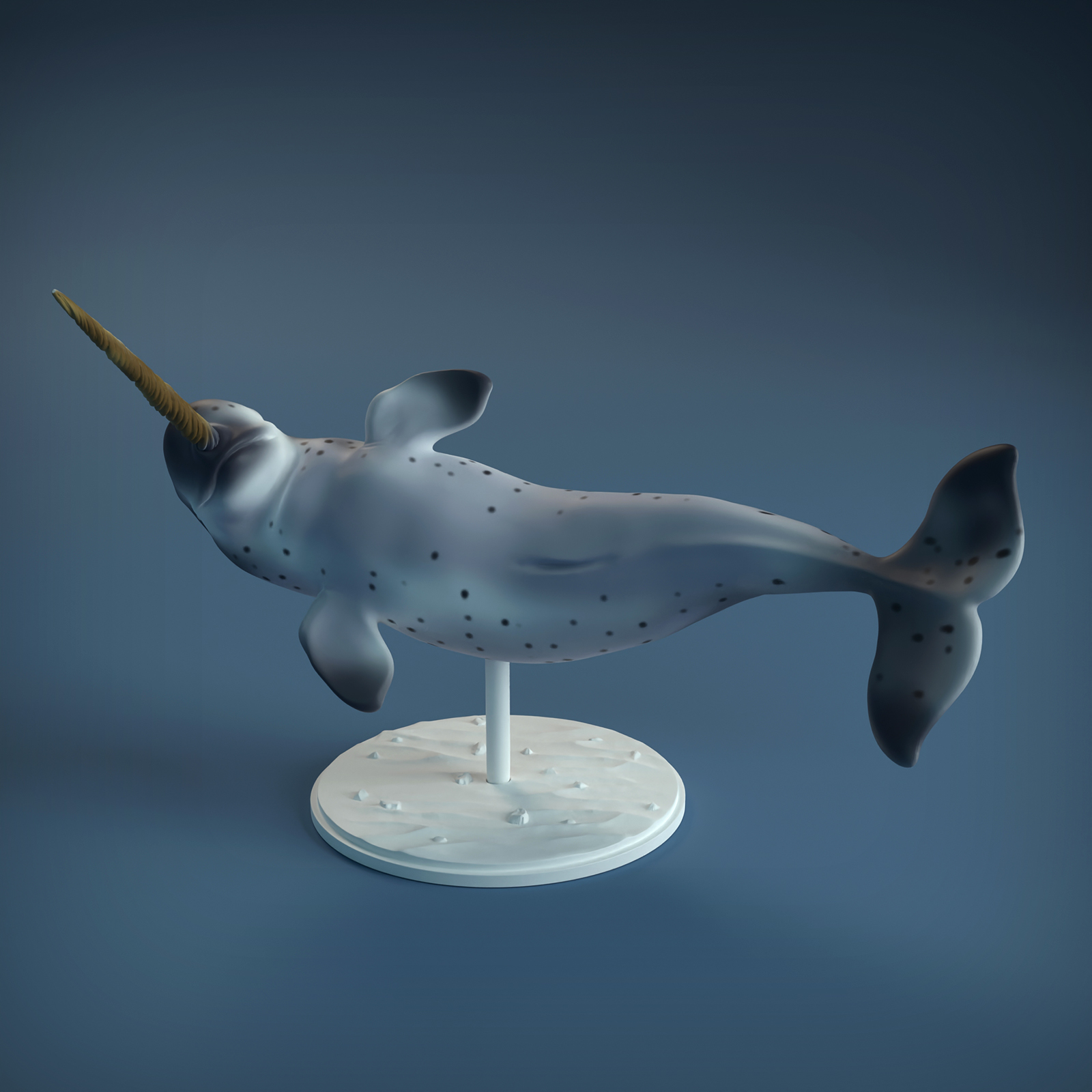 3D file Narwal 🐳・3D printing model to download・Cults