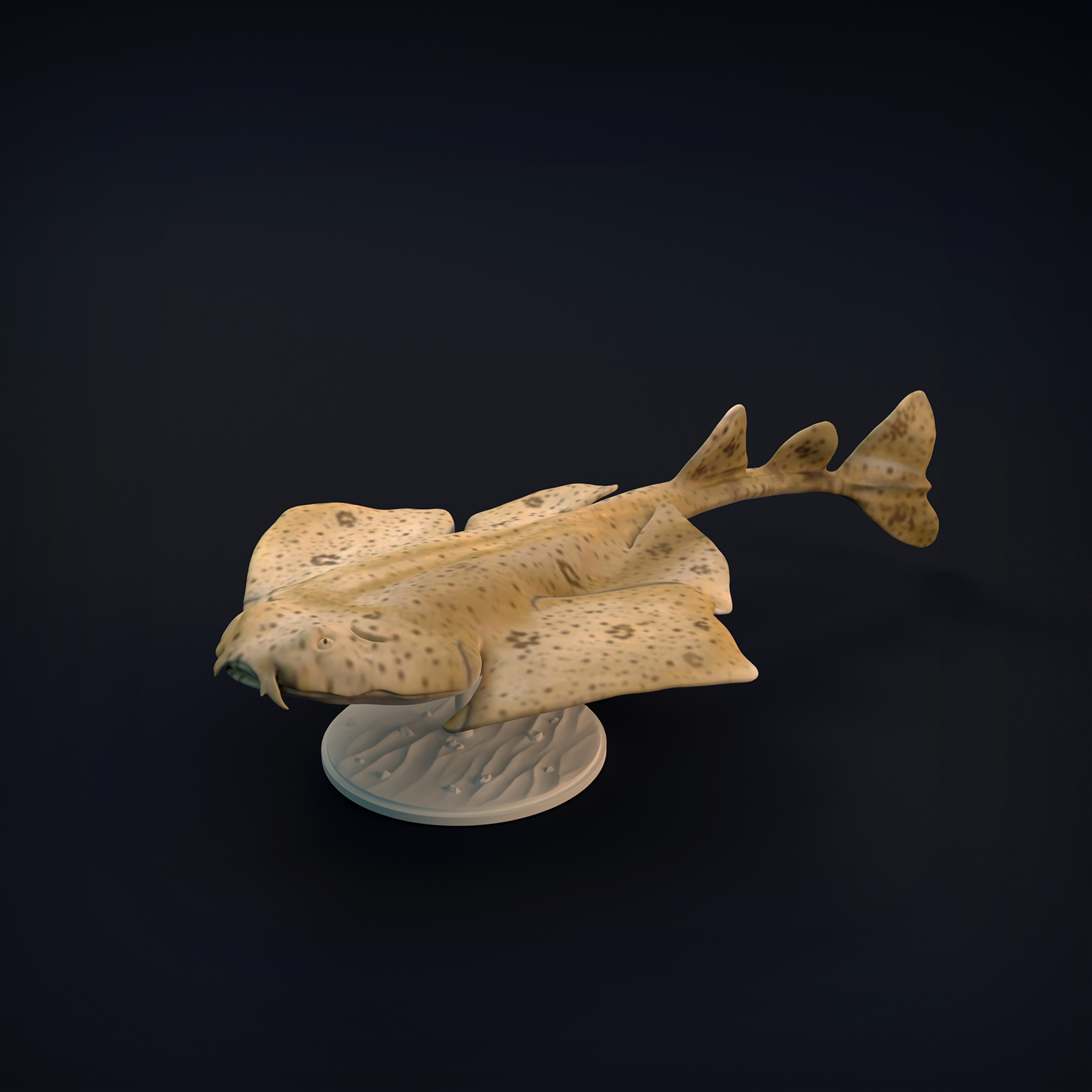 3D file Angel Shark 👼 ・3D printing template to download・Cults