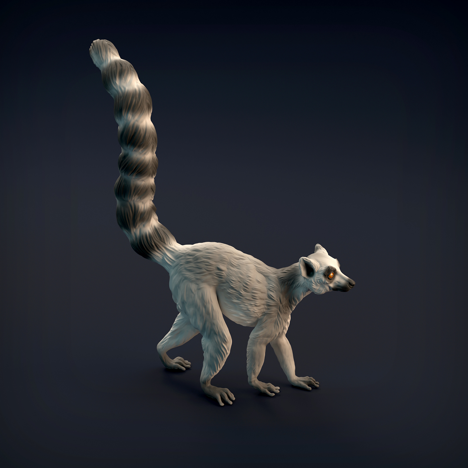🗿 Ring-Tailed Lemur・ 3D File for ・Cults