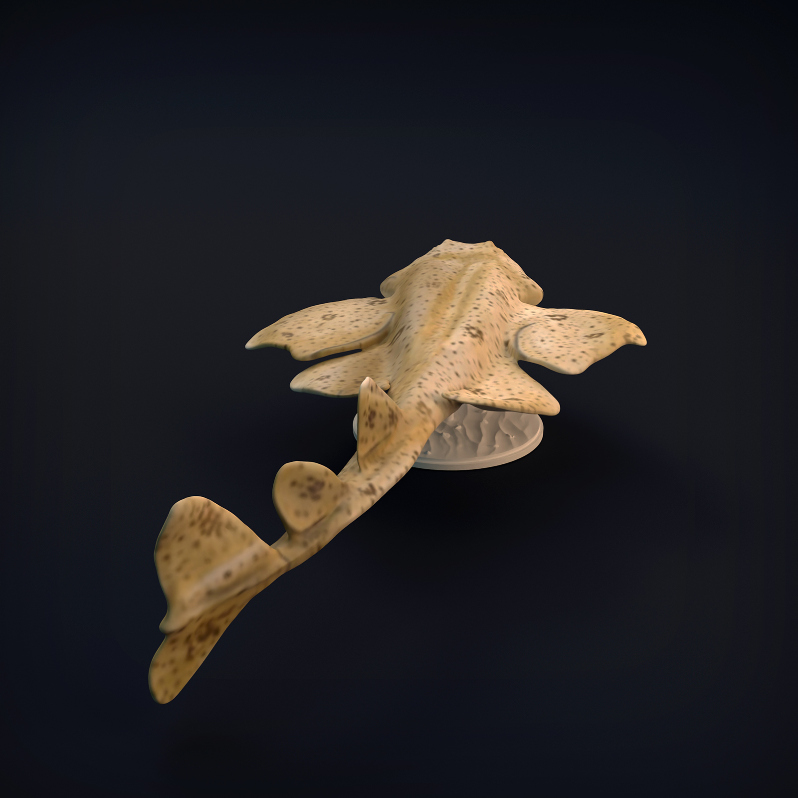 3D file Angel Shark 👼 ・3D printing template to download・Cults