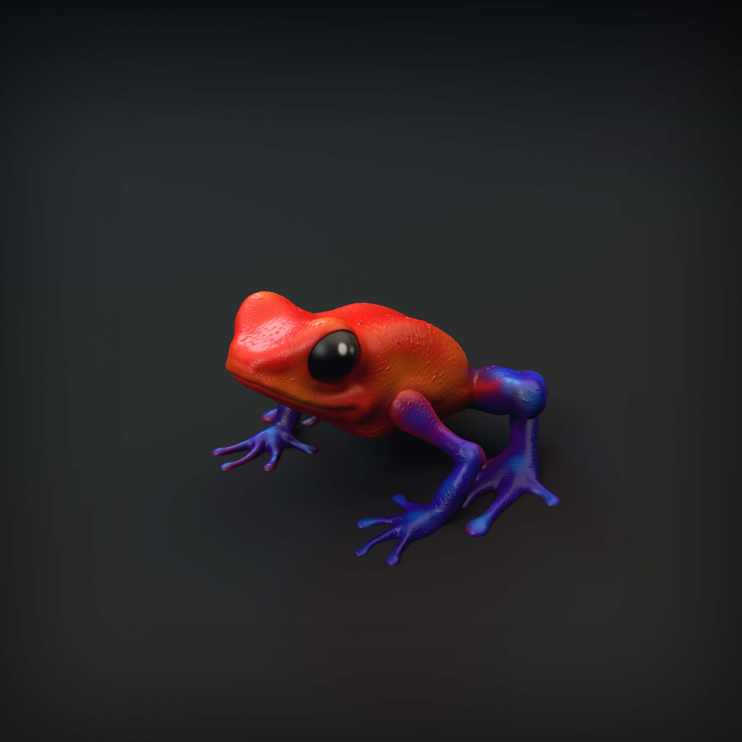 3D file Dart Frog 🎯 ・3D printable model to download・Cults