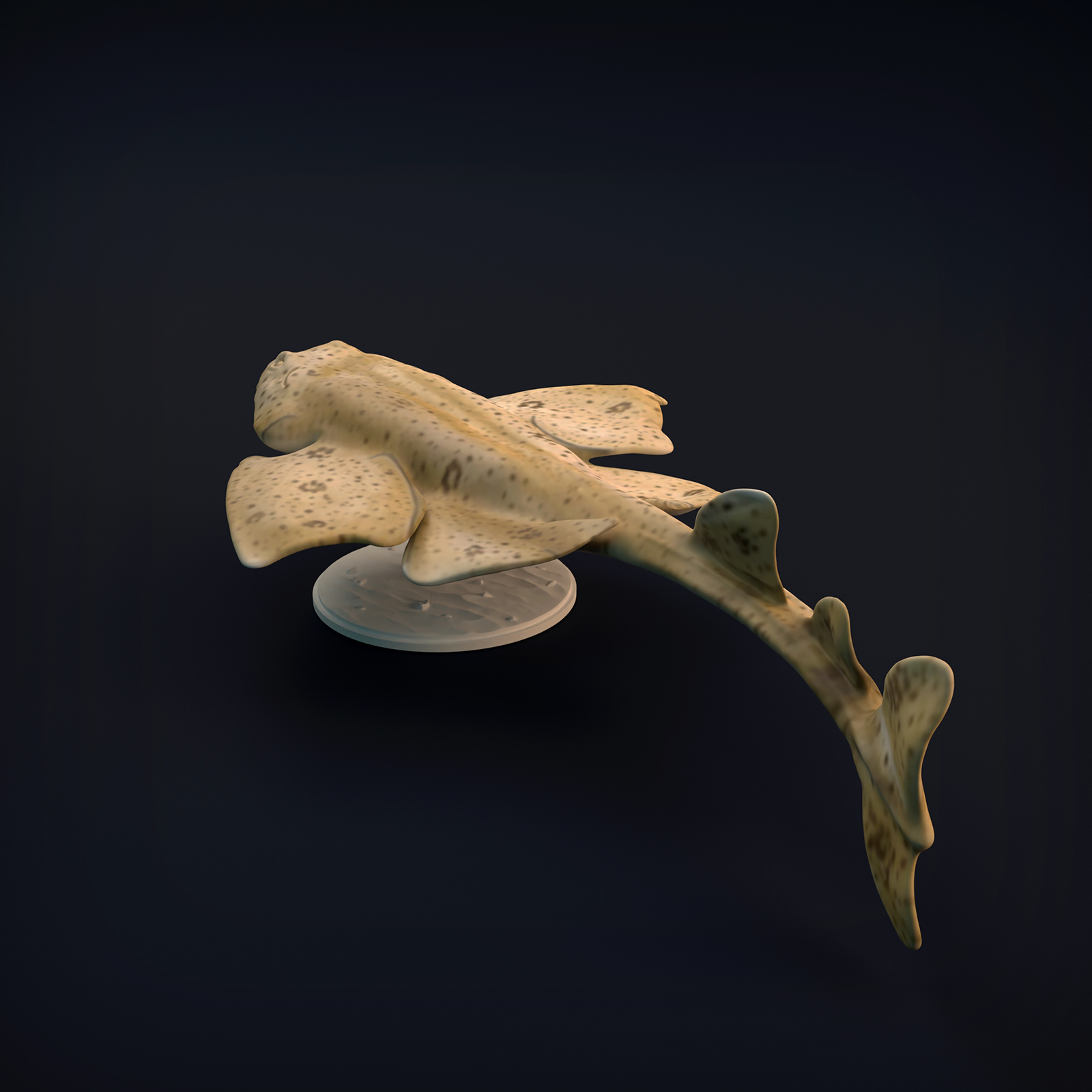3D file Angel Shark 👼 ・3D printing template to download・Cults