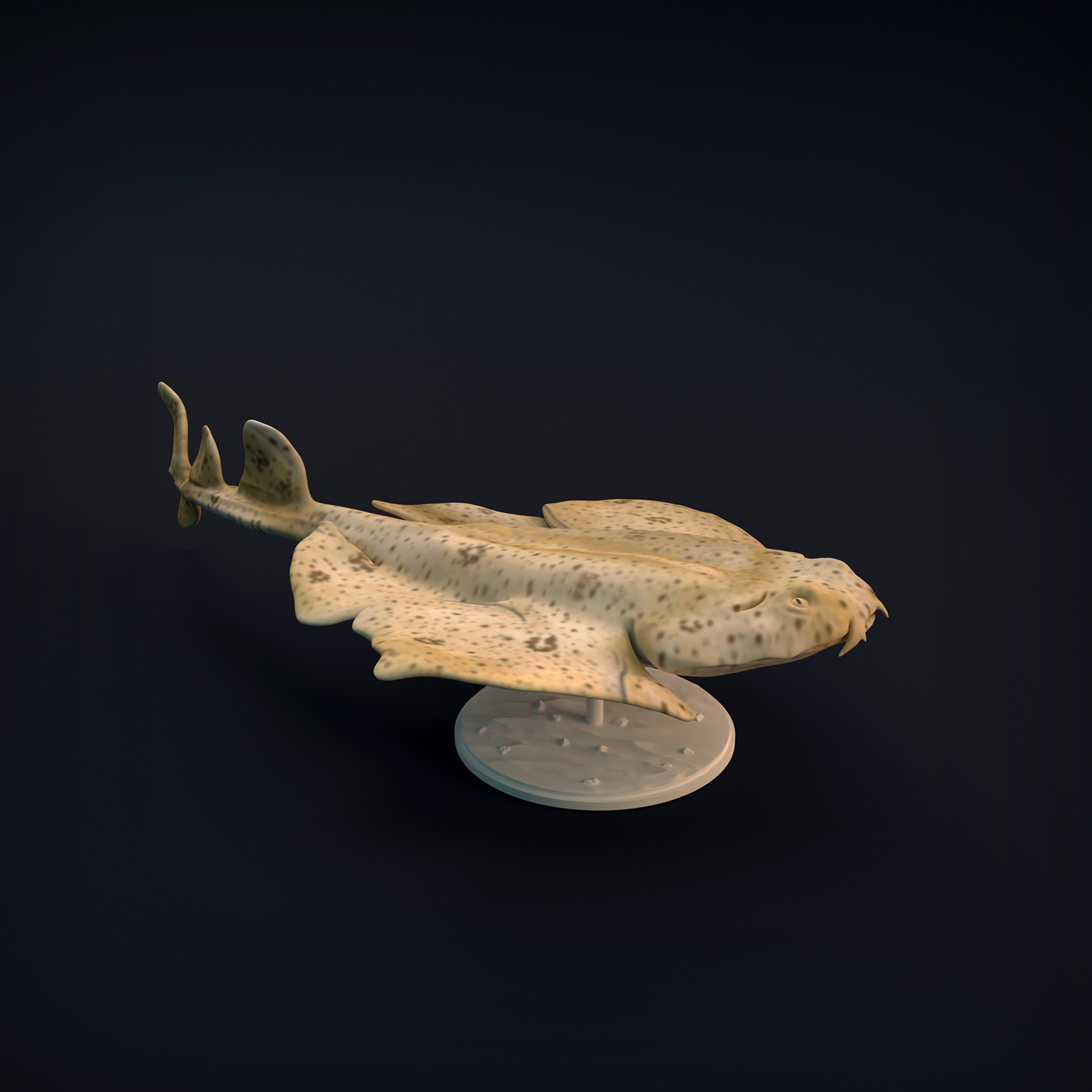 3D file Angel Shark 👼 ・3D printing template to download・Cults