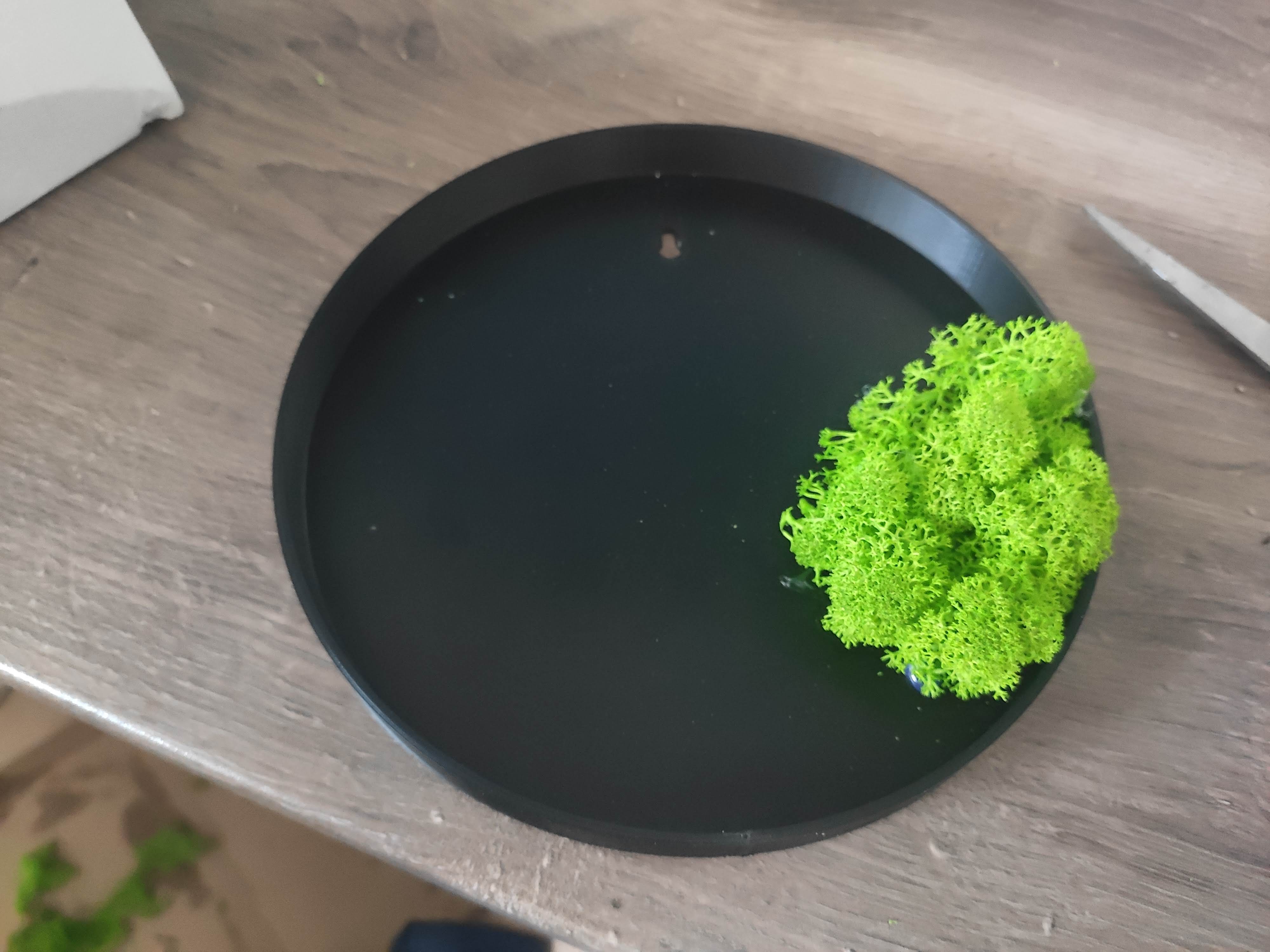 🖼️ Stabilized moss frame・Free STL File for ・Cults