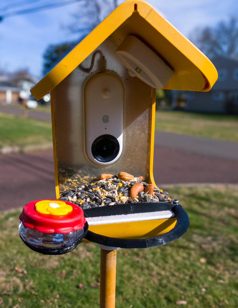 Free 3D file Buddy perch and humming bird feeder 🐦 ・3D printable model ...