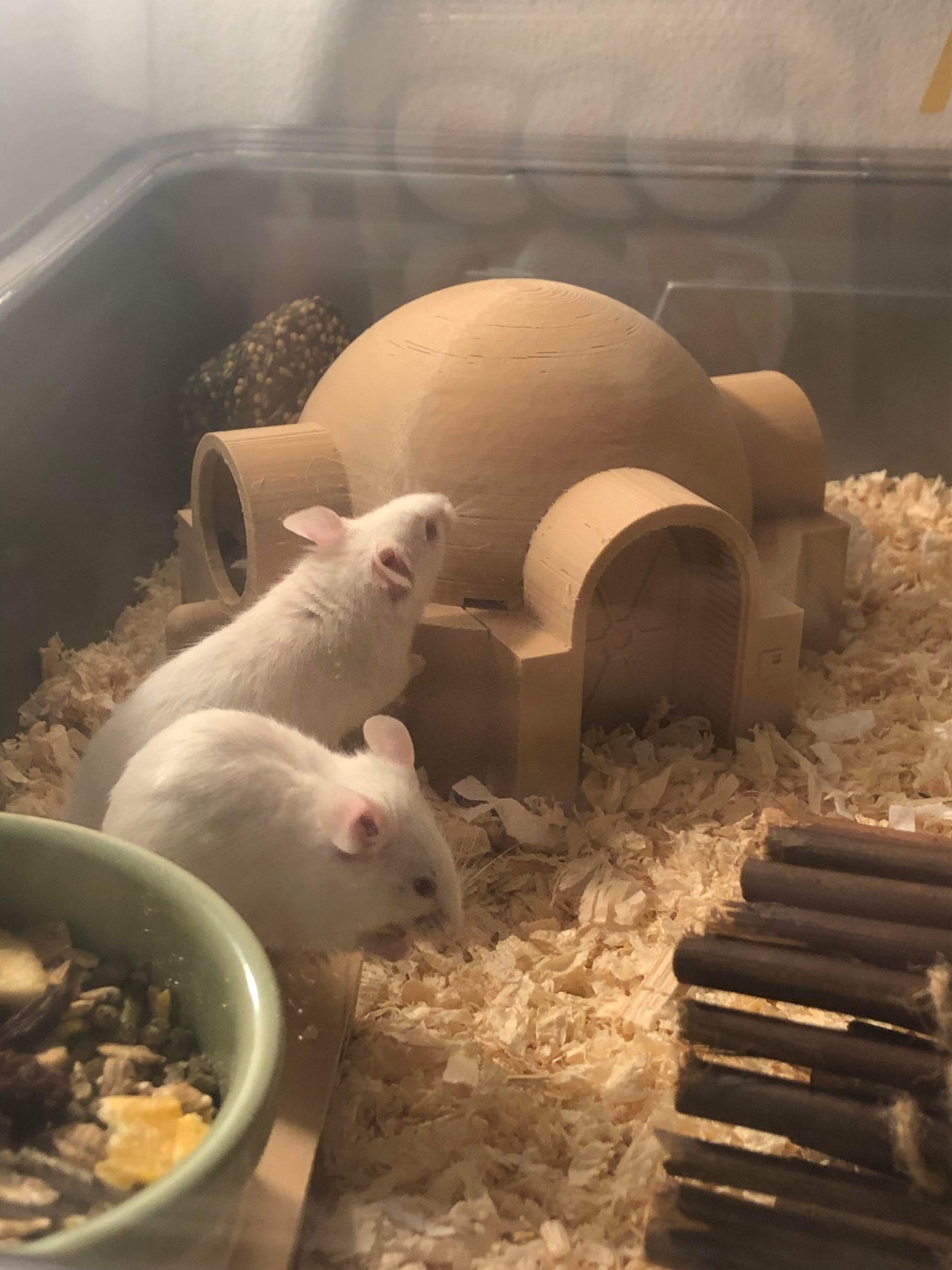 🏠 Tatooine Rodent House Star Wars・ STL File for ・Cults