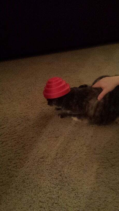 Free STL file Energy Dome / Devo Hat 🎩 ・3D printable model to download ...