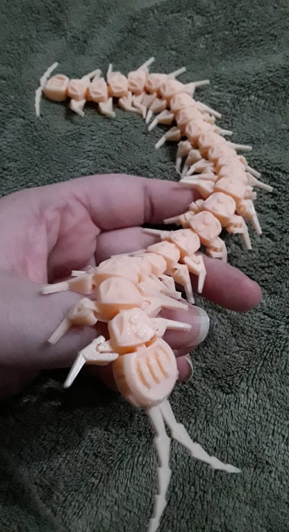 3D print Articulated centipede robot • made with anycubic mega zero 2・Cults