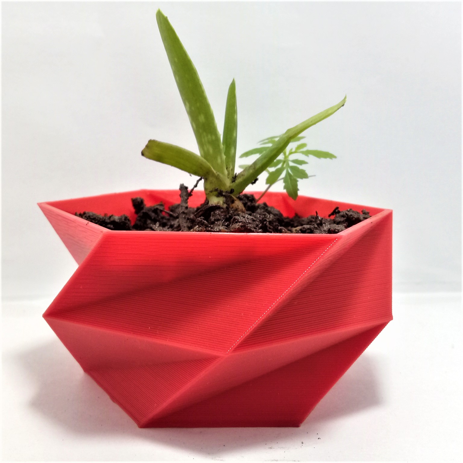 Free STL file Polygonal pot Typical V1 🪴・3D printable model to download ...