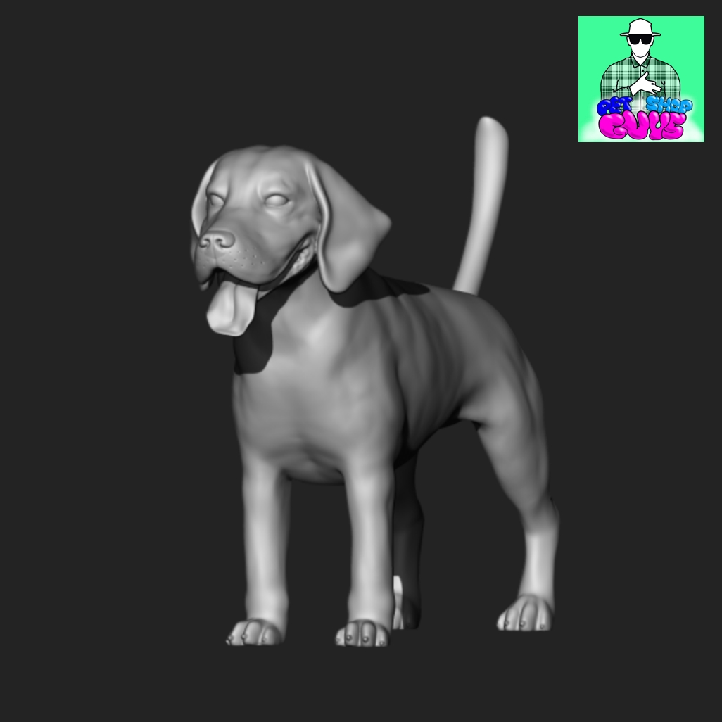 🐕 Beagle Breed Dog・ STL File for ・Cults