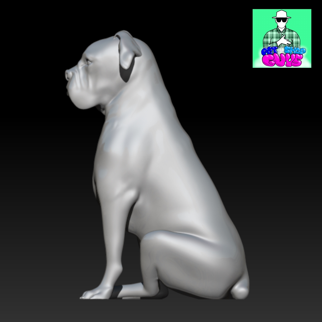 STL file Boxer Breed Dog 🐕 ・3D print model to download・Cults