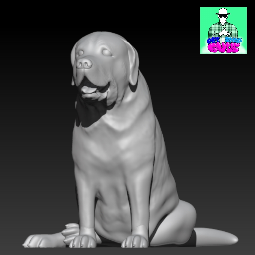 STL file Old Labrador Dog 👴 ・3D print model to download・Cults