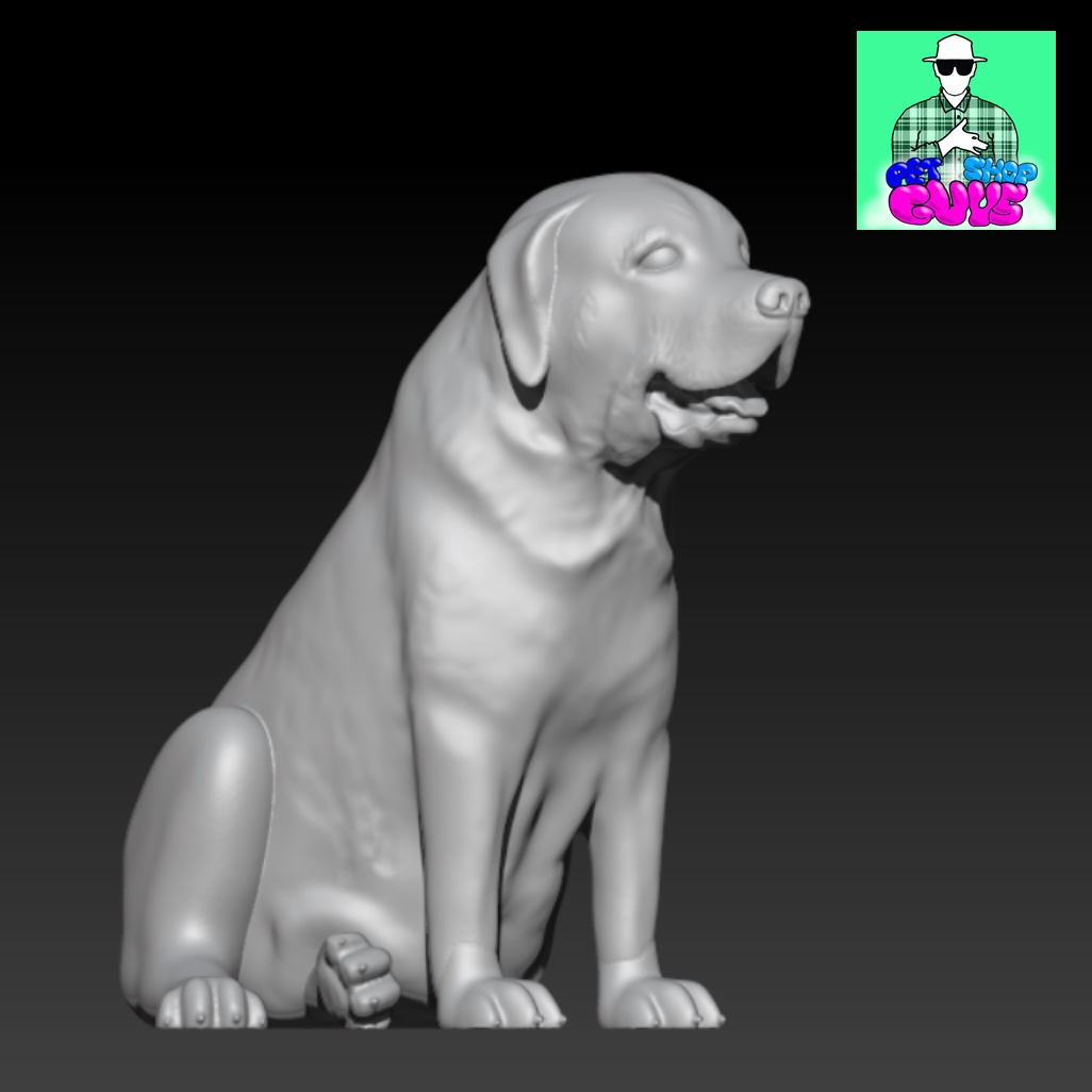 STL file Old Labrador Dog 👴 ・3D print model to download・Cults