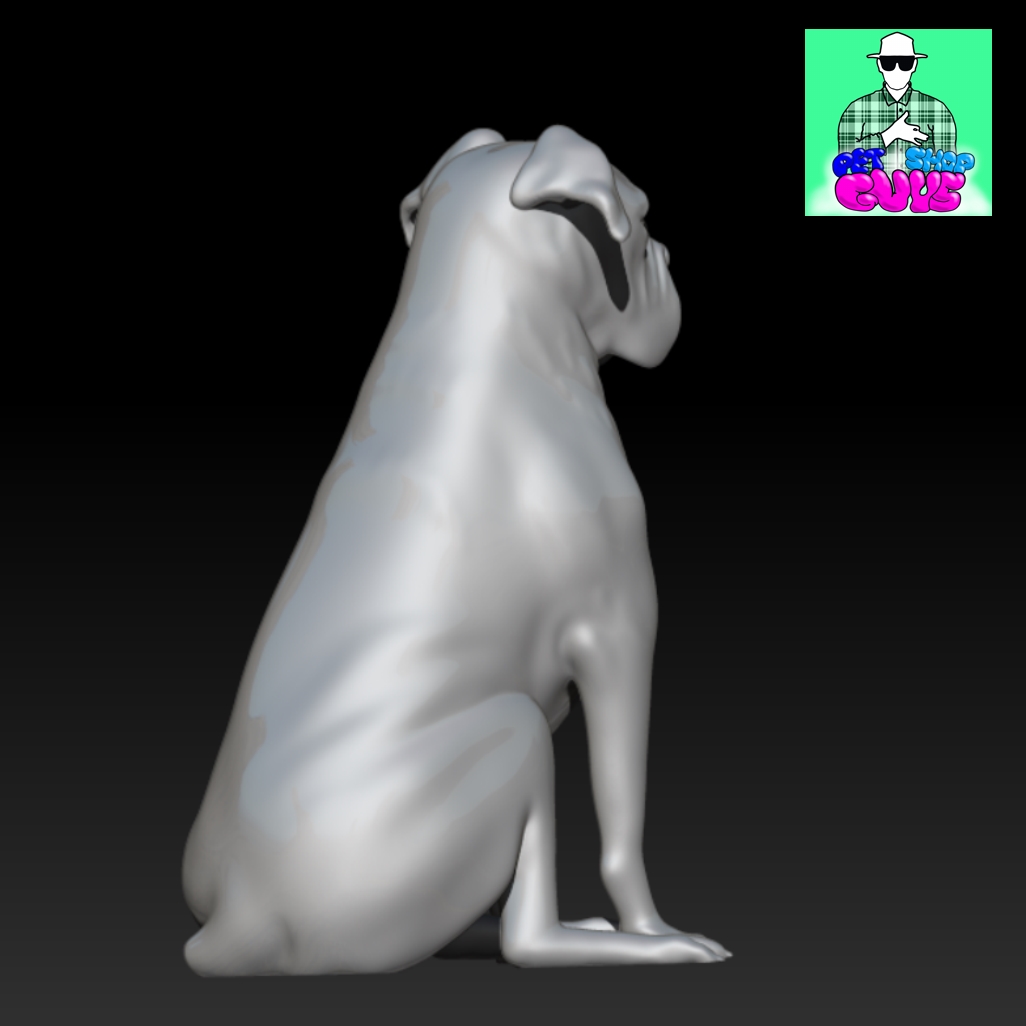 STL file Boxer Breed Dog 🐕 ・3D print model to download・Cults
