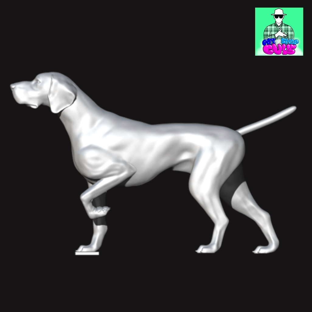 🐕 English Pointer Breed Dog・ STL File for ・Cults