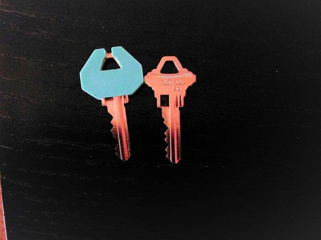 Free STL file Encapsulated / encased key cover for SC1 True Value key 🔑 ...