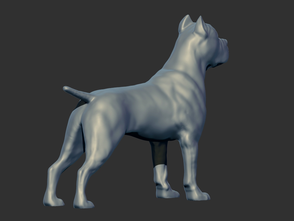 🦯 Cane Corso 3D Model .STL・ 3D File for ・Cults
