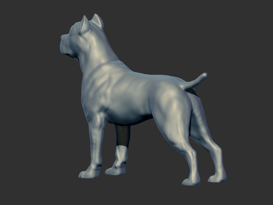 🦯 Cane Corso 3D Model .STL・ 3D File for ・Cults