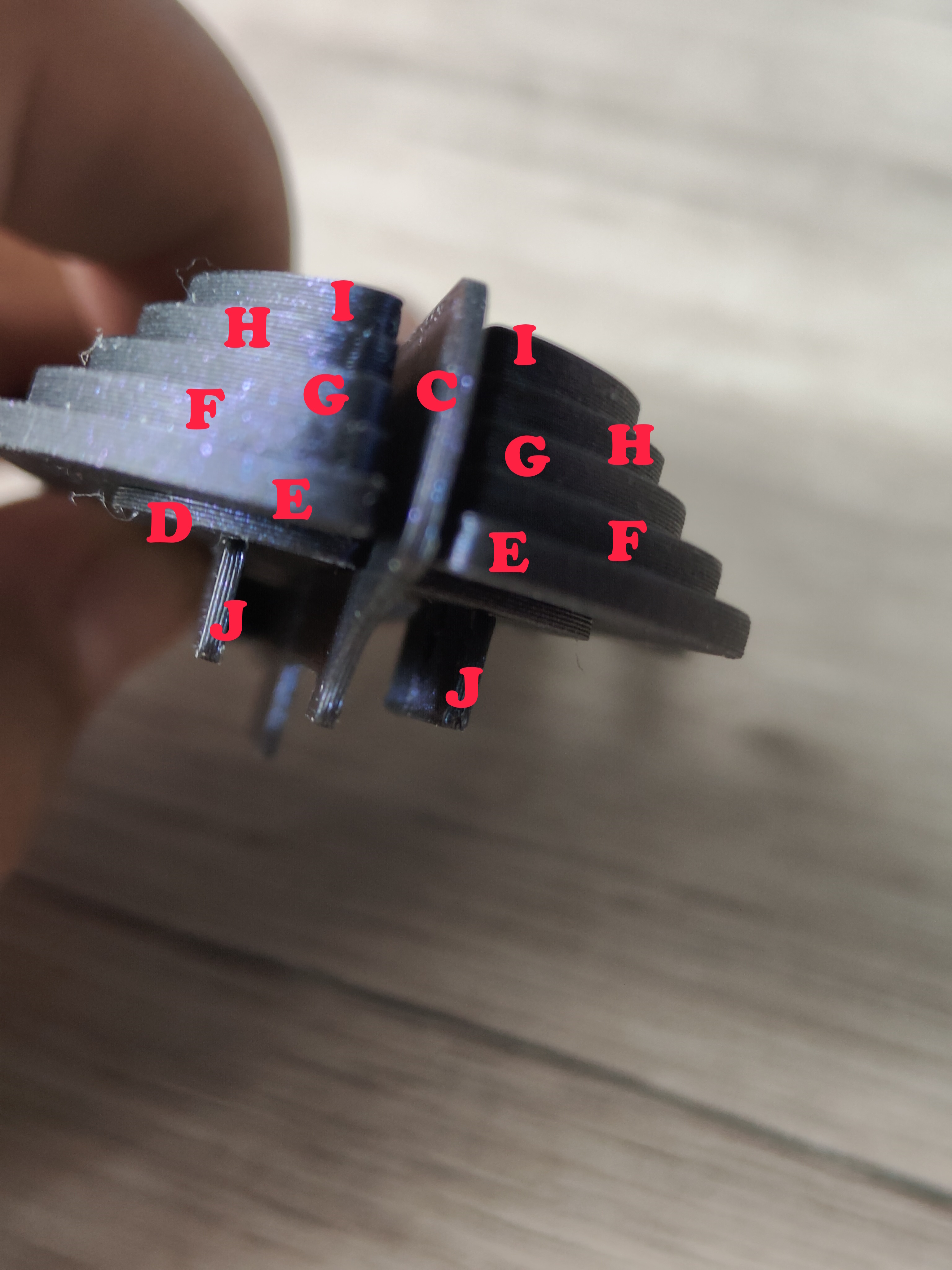 🪲 Stag Beetle Buildable Animal Figure・Free STL File for ・Cults