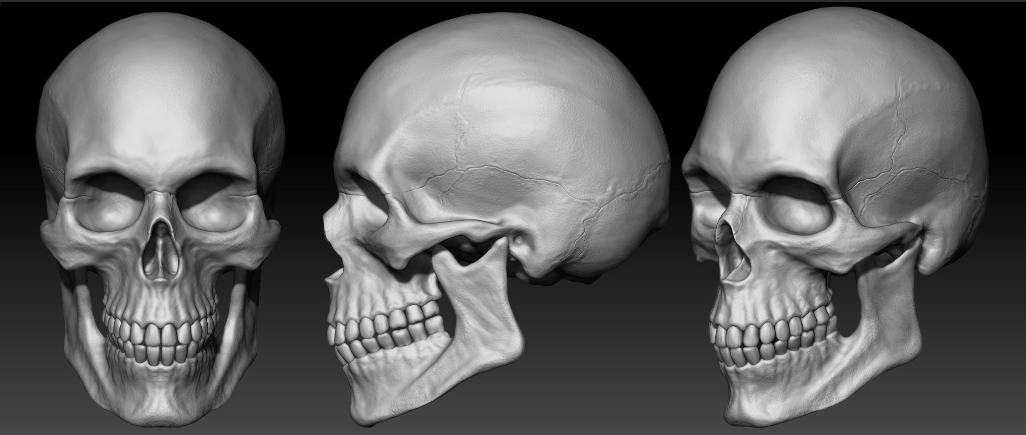 💀 Skull・Free STL File for ・Cults