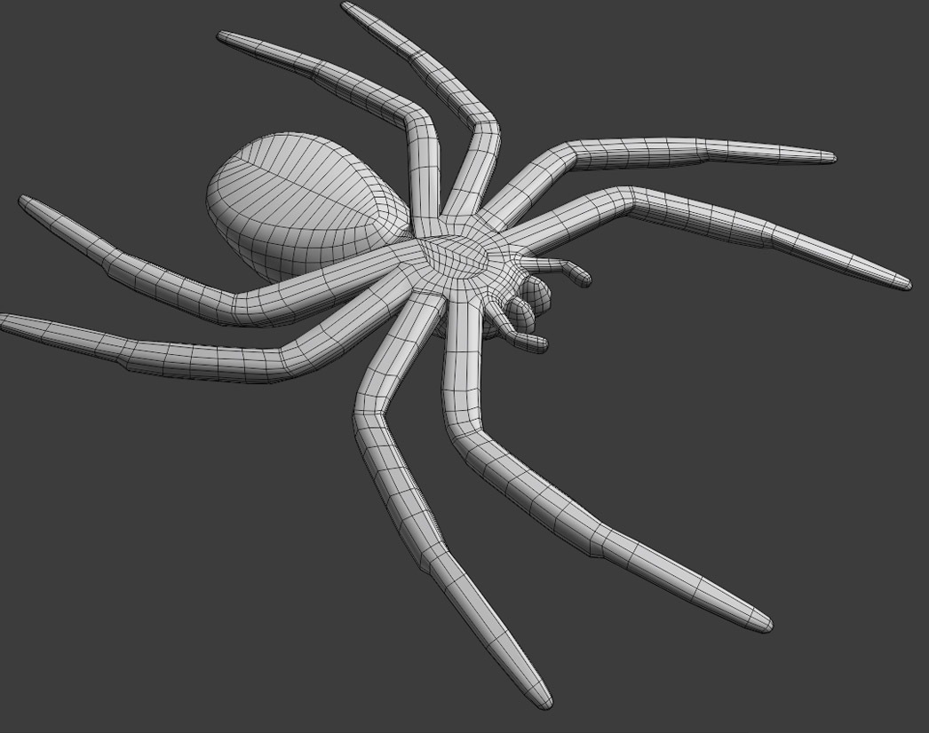 🕷️ Flat-bottomed spider・Archivo STL para ・Cults