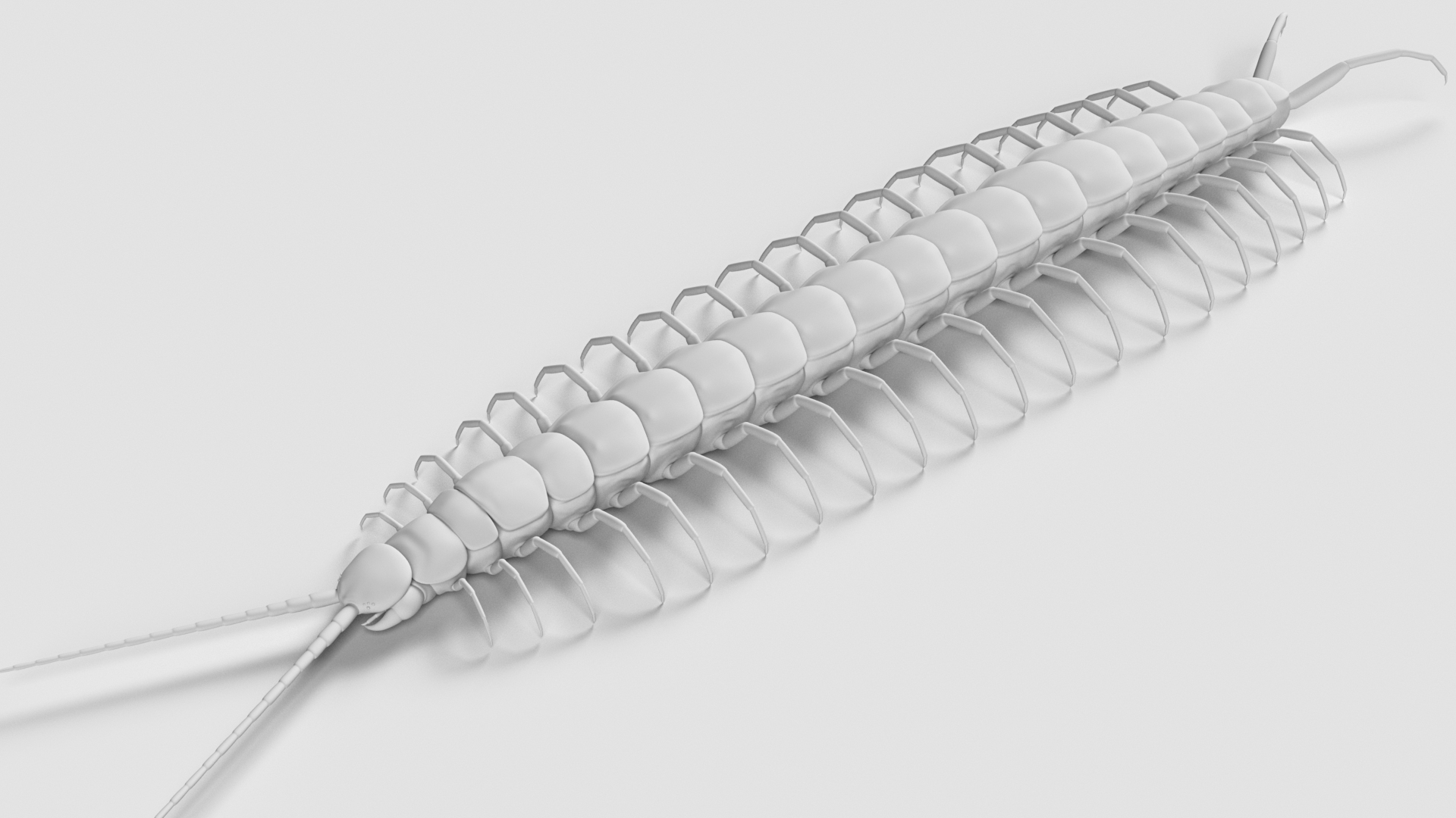 3D file Scolopendra Gigantea .Giant centipede 🐛・Model to download and ...