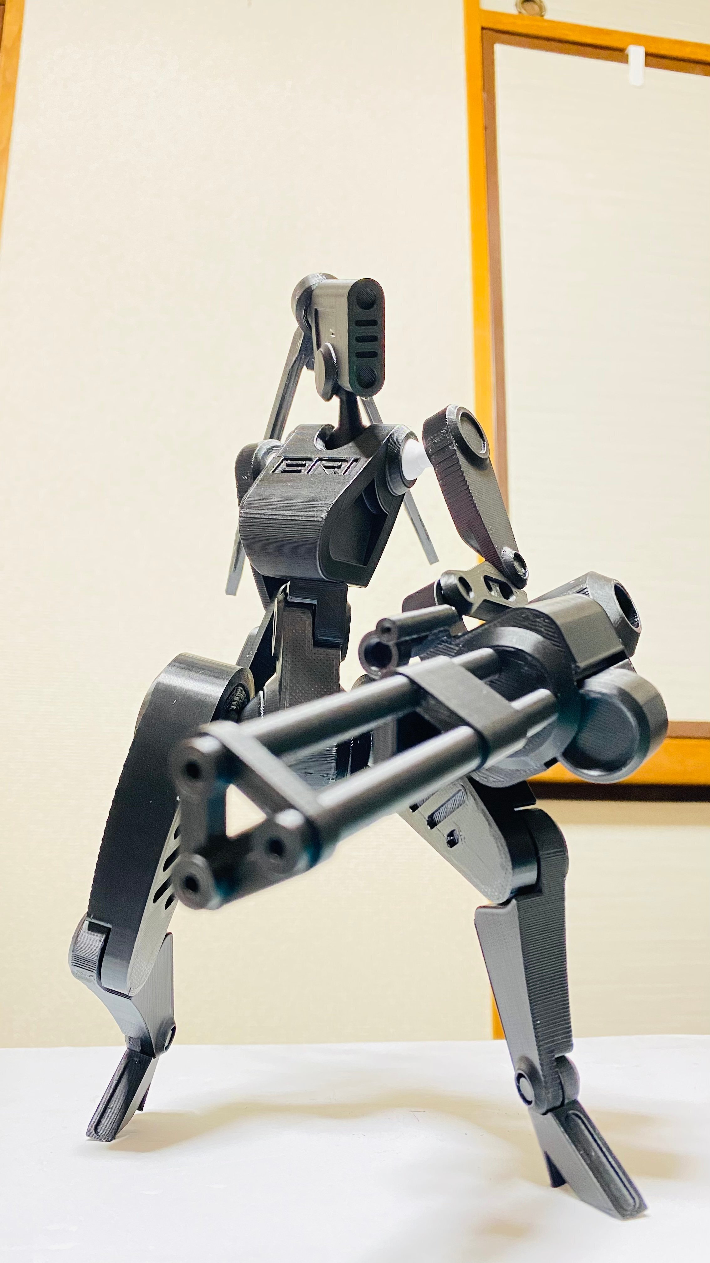 3D printing BRI Robot Gal v1.0・Cults