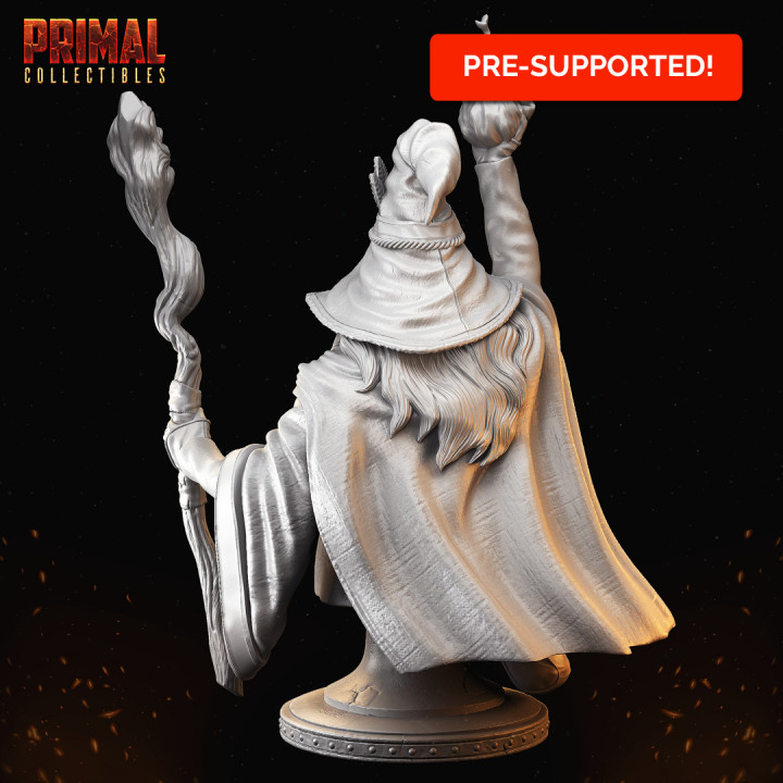 3D file Wizard - Sólon (the wiser) bust (Dungeons and Dragons | Hero ...