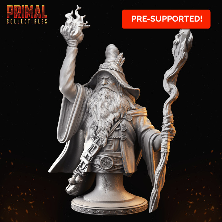 3D file Wizard - Sólon (the wiser) bust (Dungeons and Dragons | Hero ...