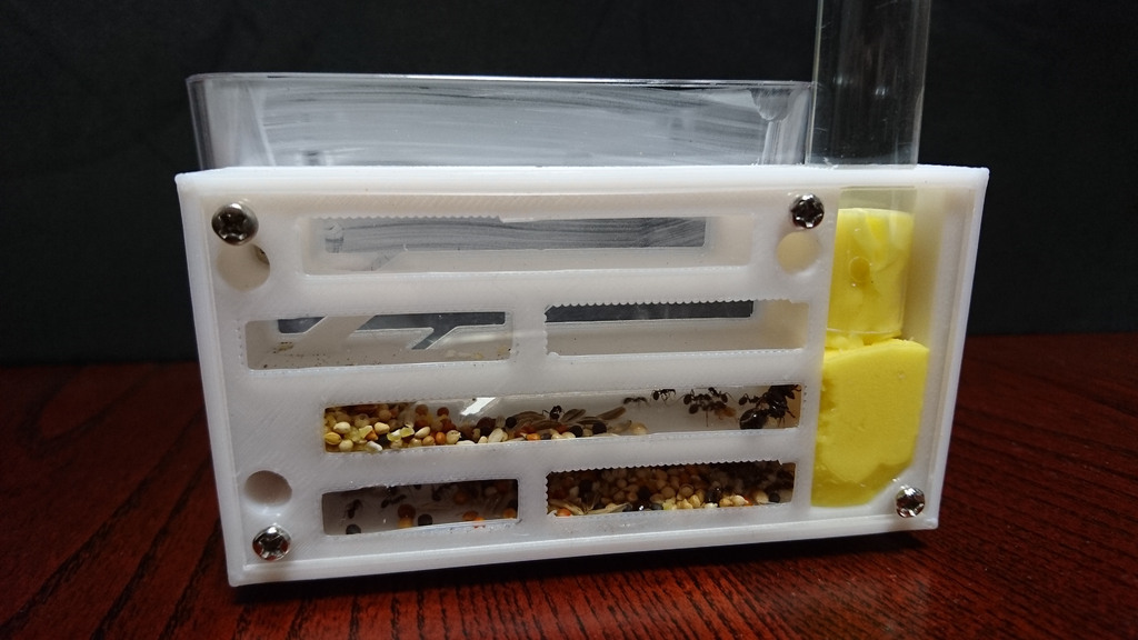 🐜 Easy Ant Farm・Free 3D File for ・Cults