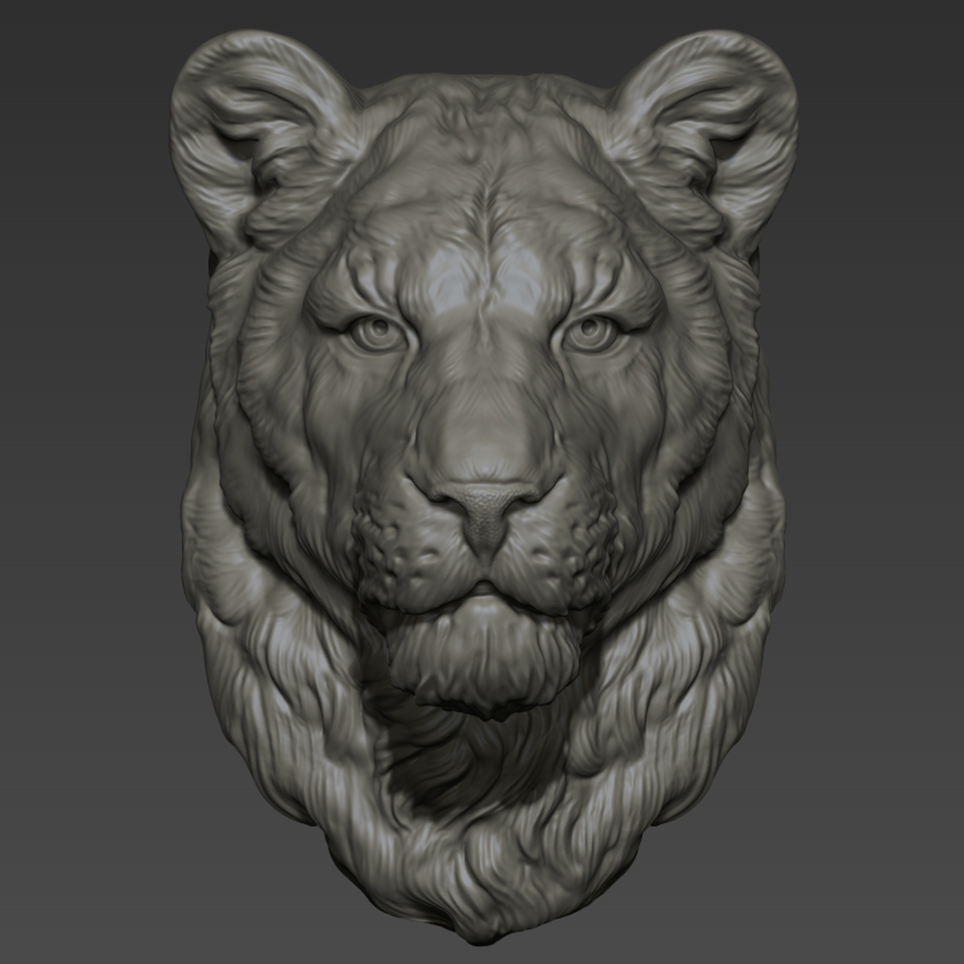 🎨 Lioness head・ STL File for ・Cults
