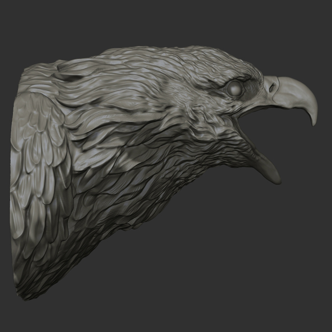 👨‍🦲 Bald Eagle head・ STL File for ・Cults