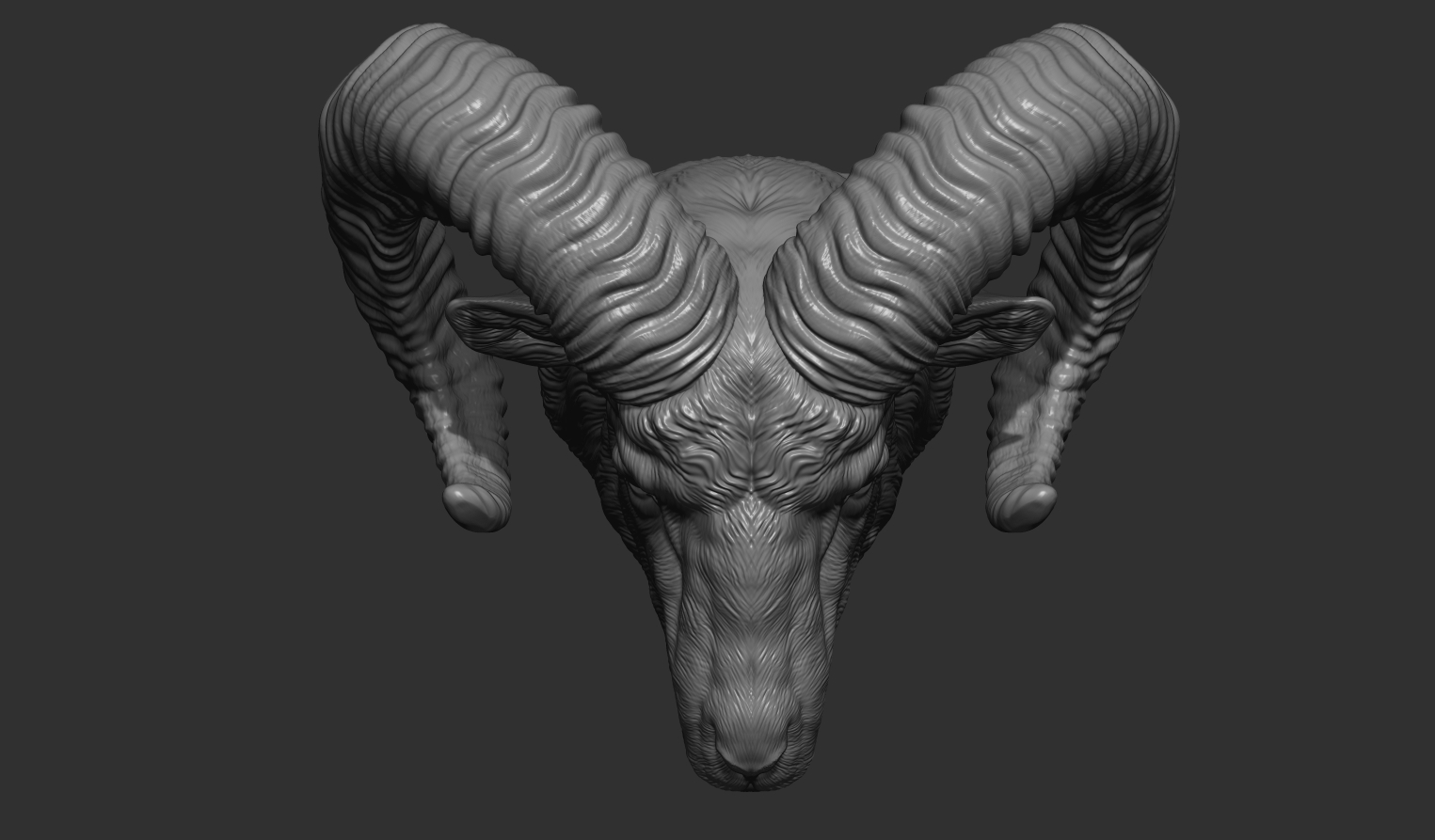 🐏 Big Horned Ram head・ STL File for ・Cults