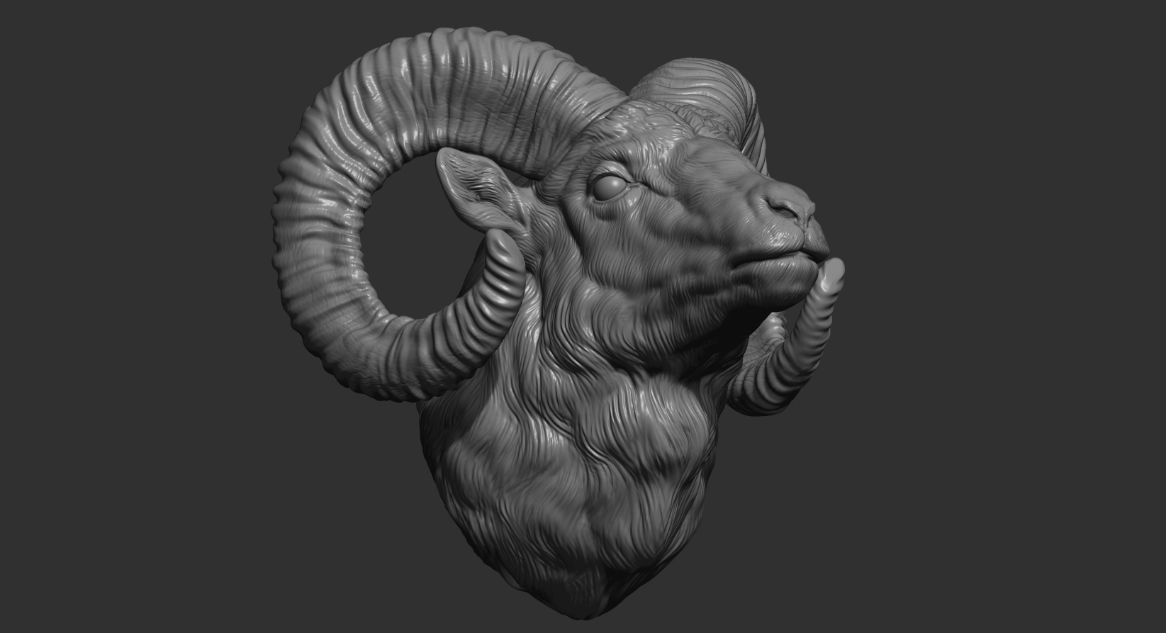 🐏 Big Horned Ram head・ STL File for ・Cults