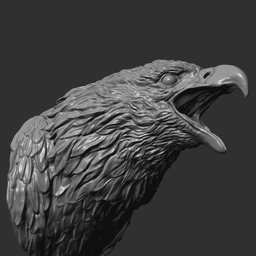 👨‍🦲 Bald Eagle head・ STL File for ・Cults