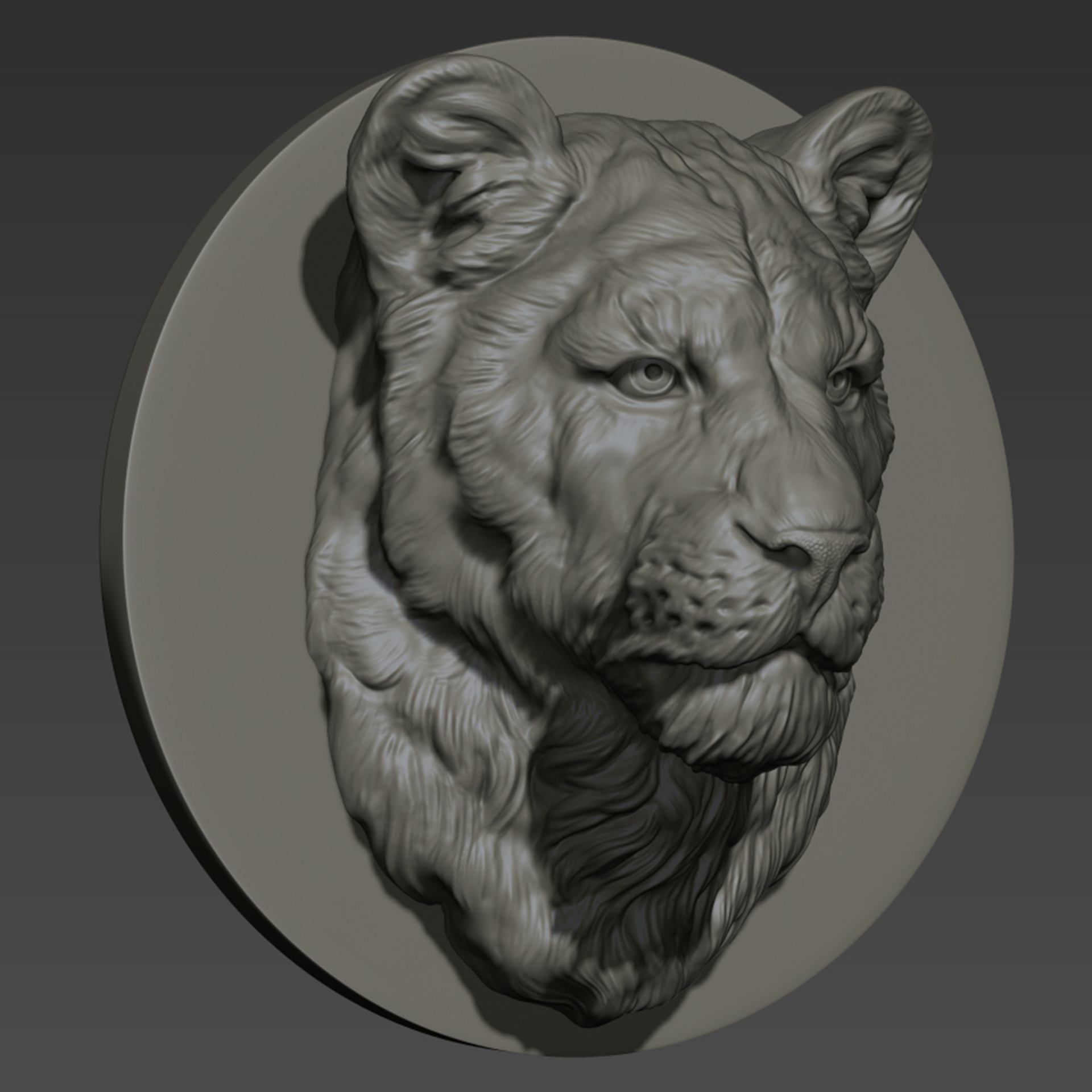 🎨 Lioness head・ STL File for ・Cults