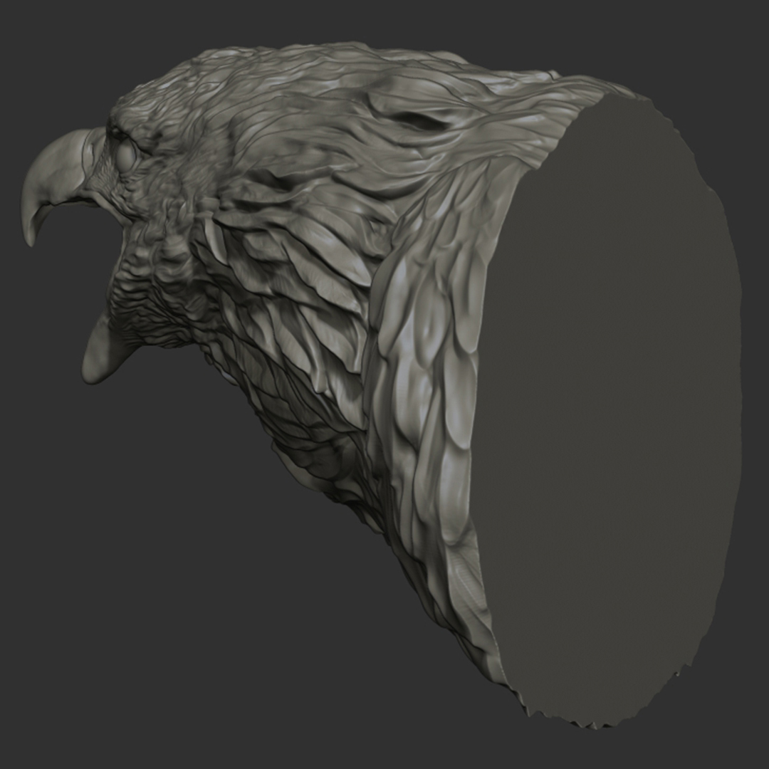 👨‍🦲 Bald Eagle head・ STL File for ・Cults
