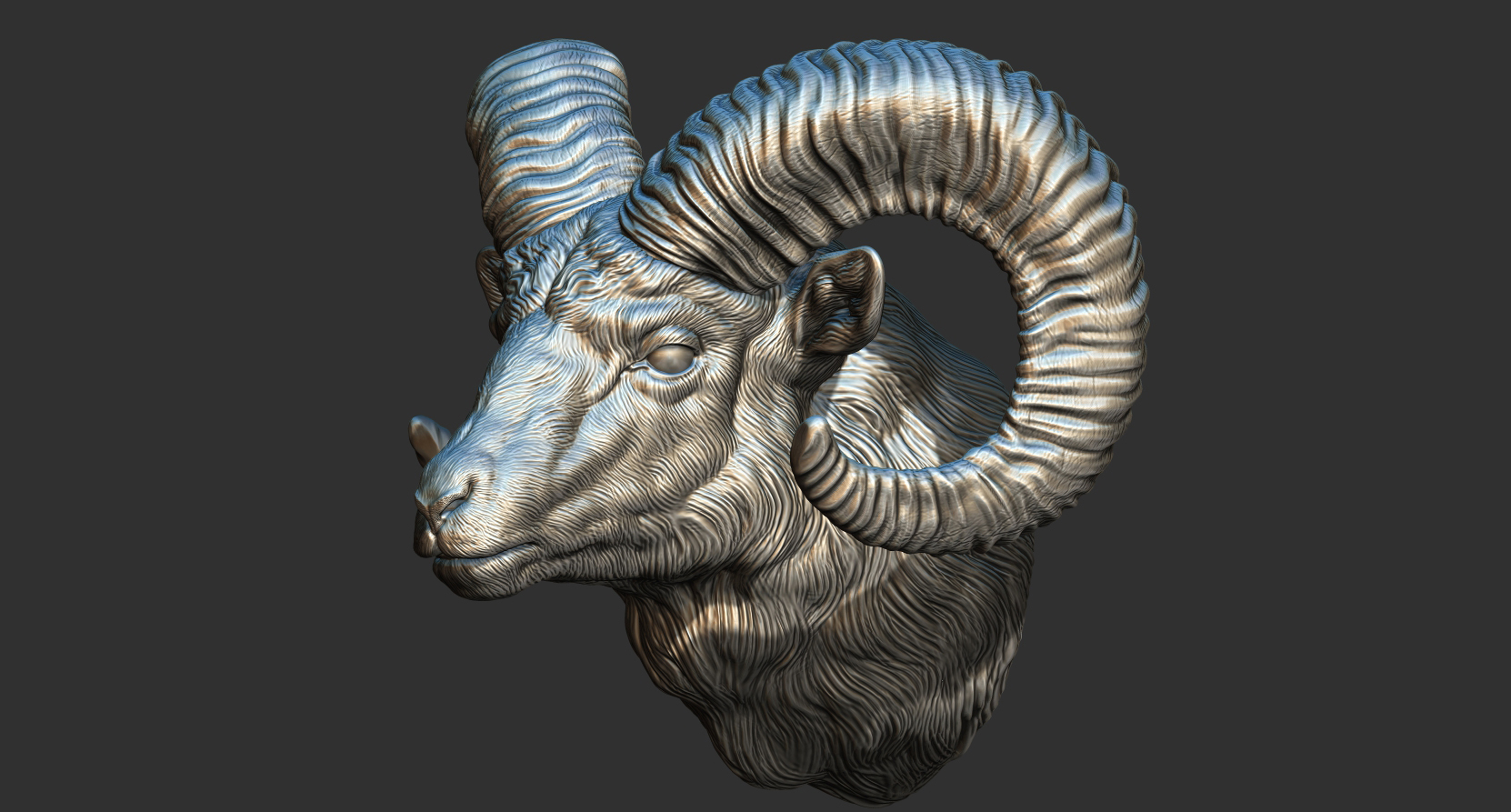 STL file Big Horned Ram head 🐏 (OBJ)・3D printer design to download・Cults