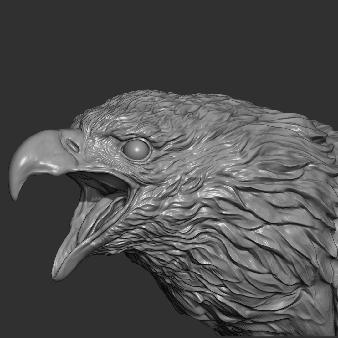 👨‍🦲 Bald Eagle head・ STL File for ・Cults
