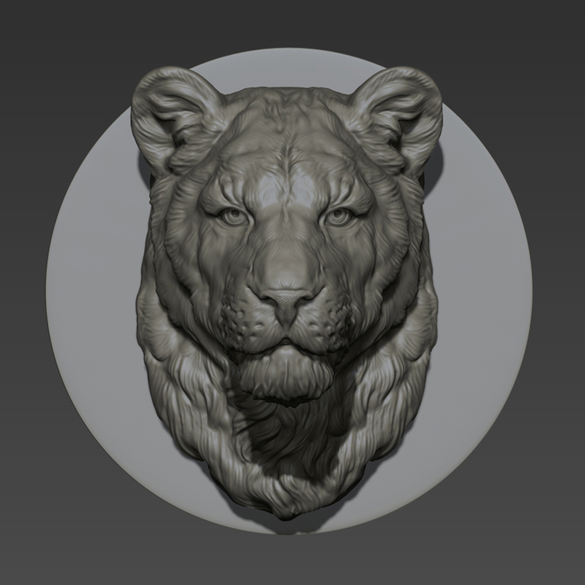 🎨 Lioness head・ STL File for ・Cults