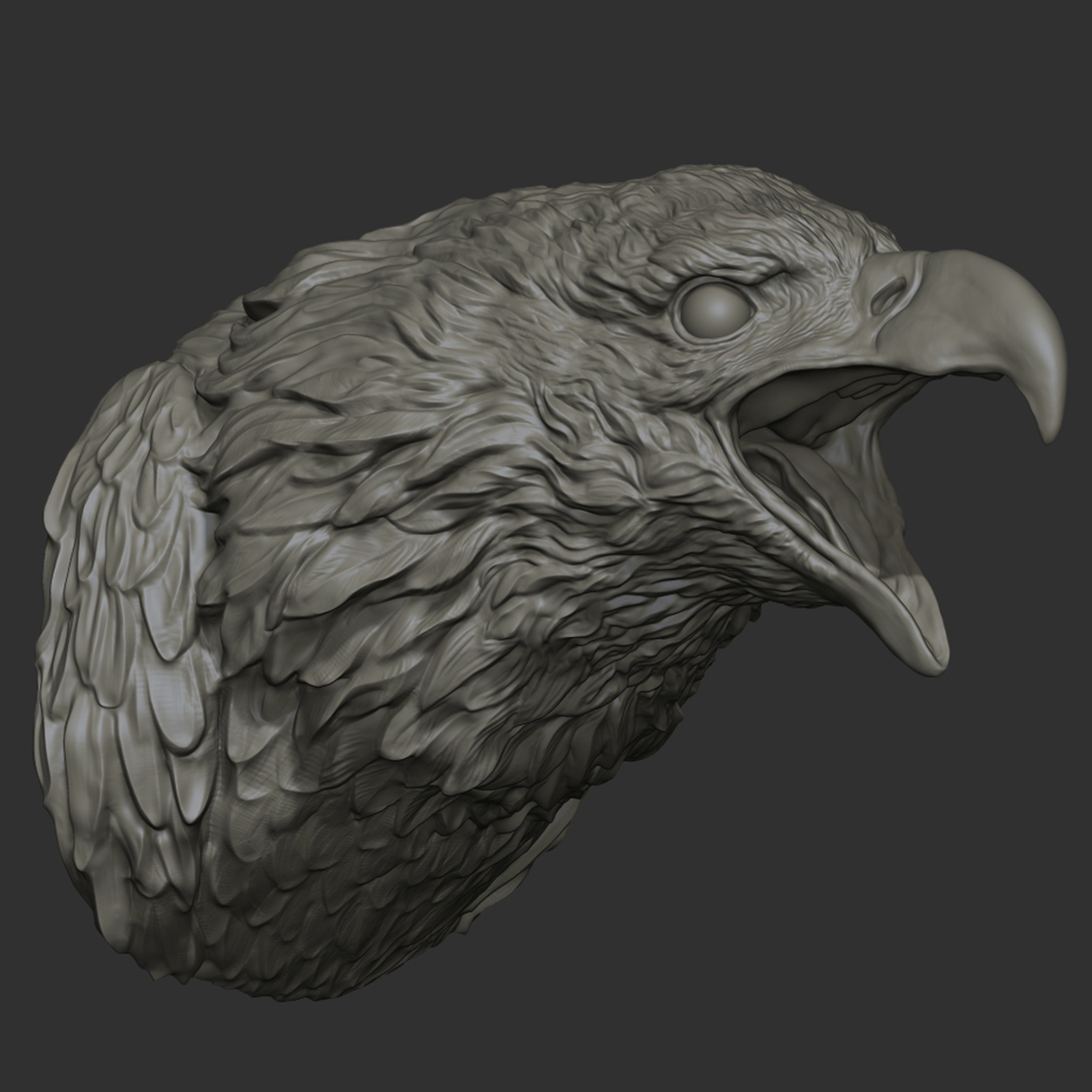 👨‍🦲 Bald Eagle head・ STL File for ・Cults