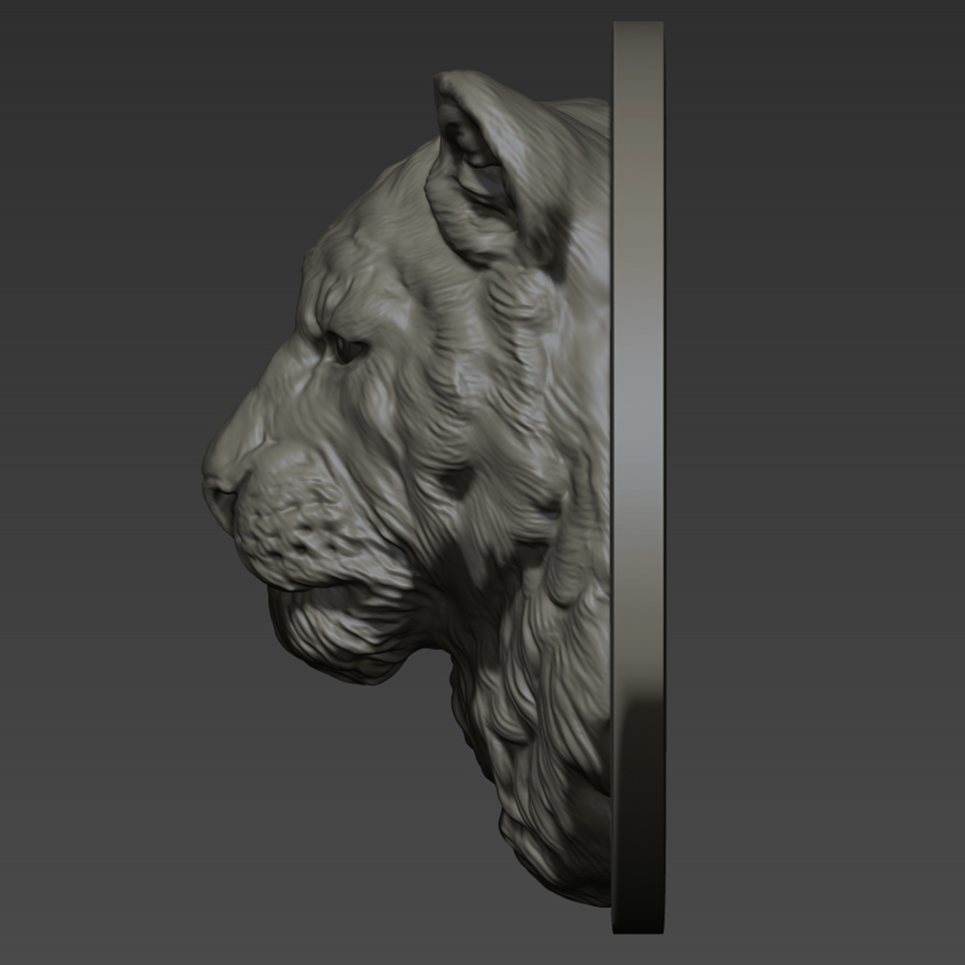 🎨 Lioness head・ STL File for ・Cults