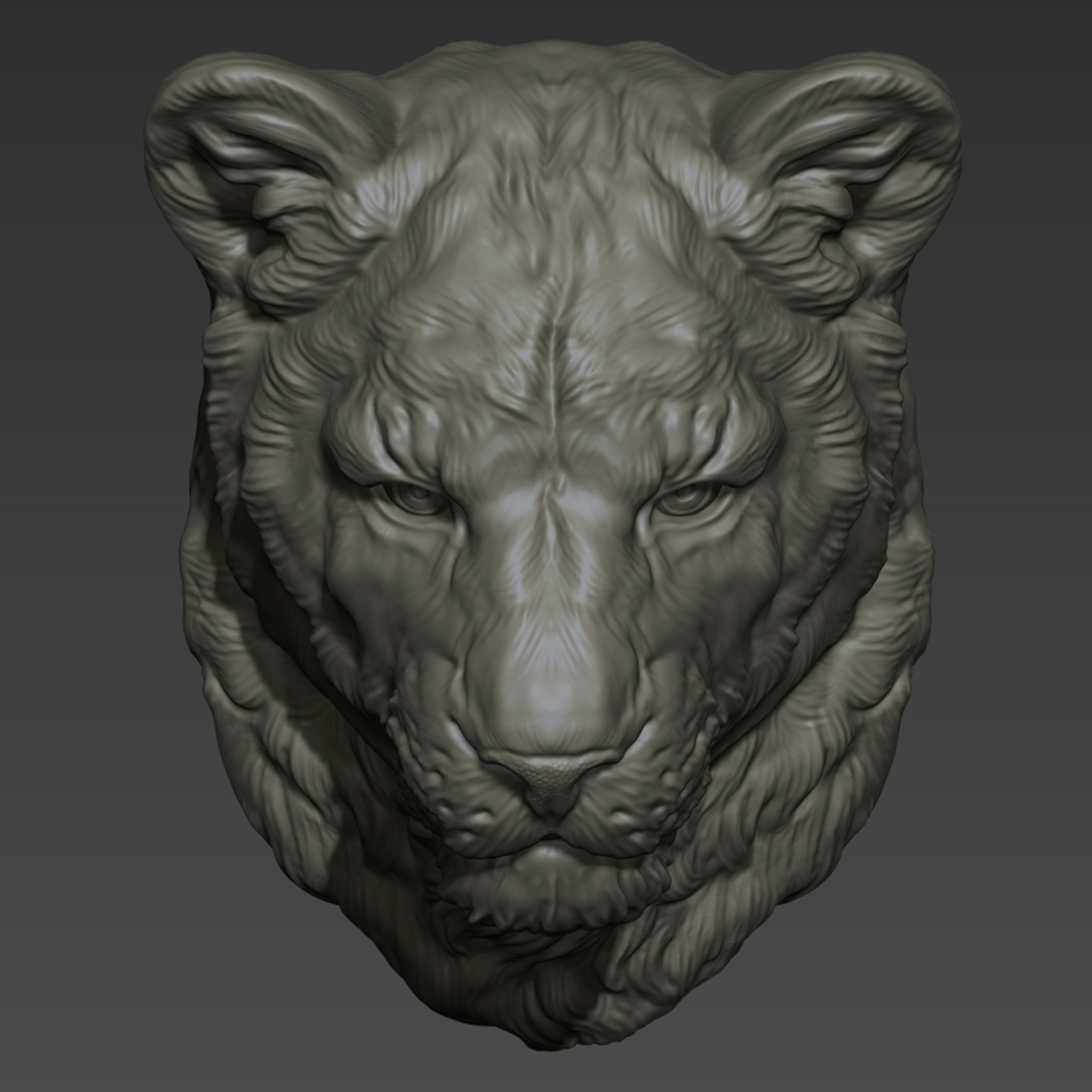 🎨 Lioness head・ STL File for ・Cults