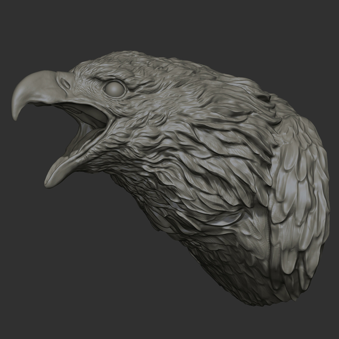 👨‍🦲 Bald Eagle head・ STL File for ・Cults