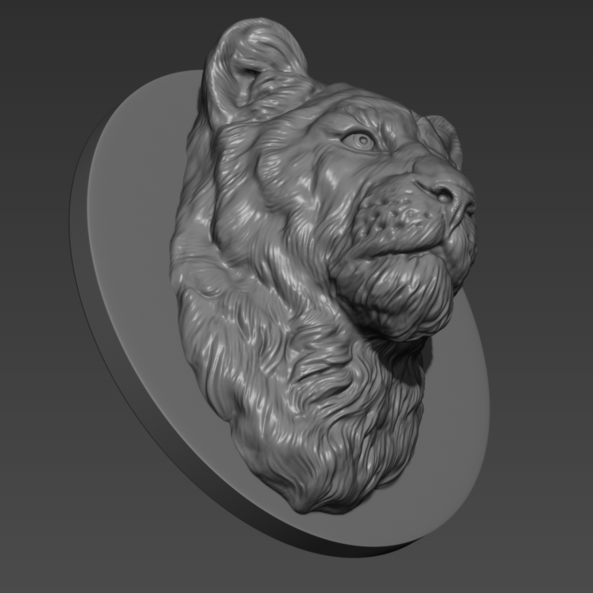 🎨 Lioness head・ STL File for ・Cults