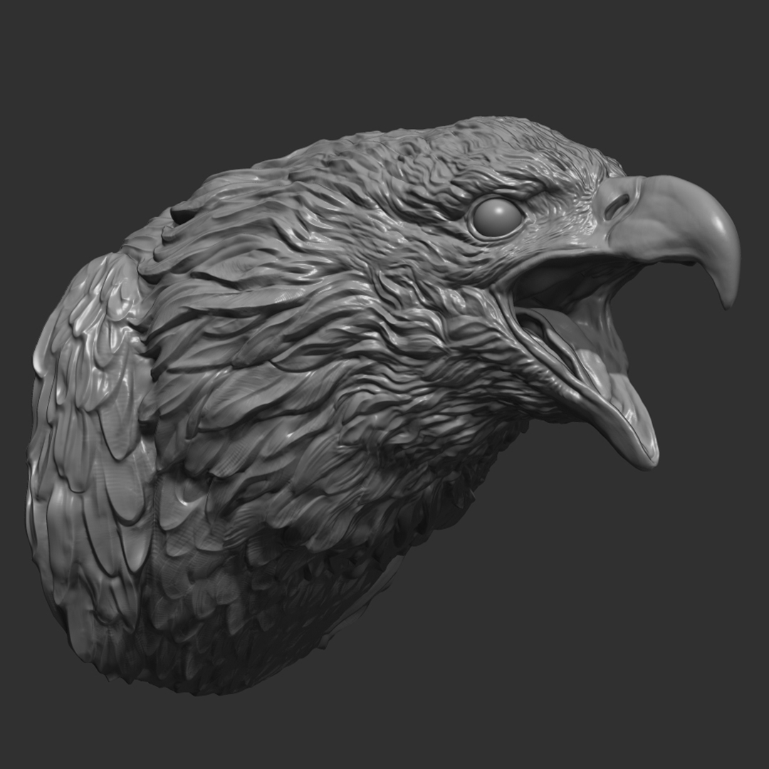 👨‍🦲 Bald Eagle head・ STL File for ・Cults