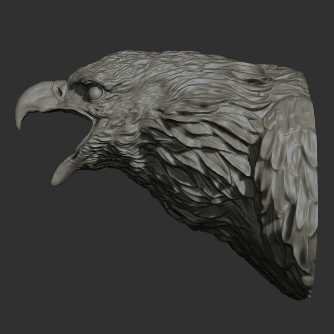 👨‍🦲 Bald Eagle head・ STL File for ・Cults
